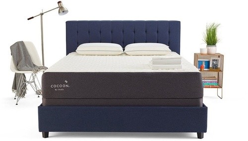 Shop Cocoon Foundation | Free Shipping | 5-Year Warranty – Cocoon™ by Sealy